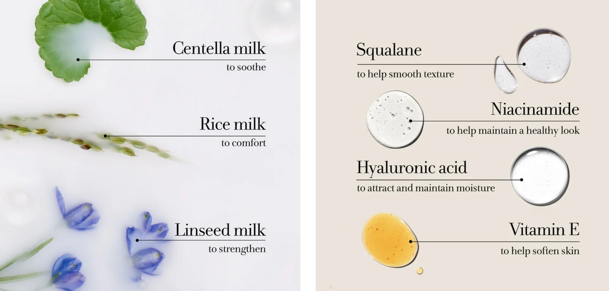 Milk Body Lotion | Sensoree'